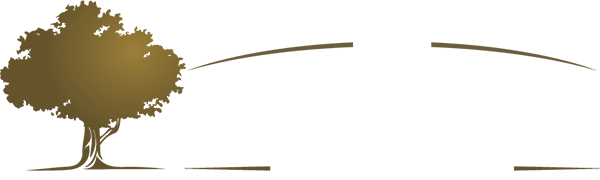 The Standard Cremations & Funeral Center