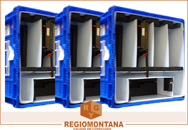 RYG REGIOMONTANA | (81) 8691-8863