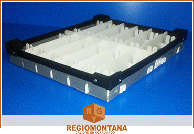 RYG REGIOMONTANA | (81) 8691-8863