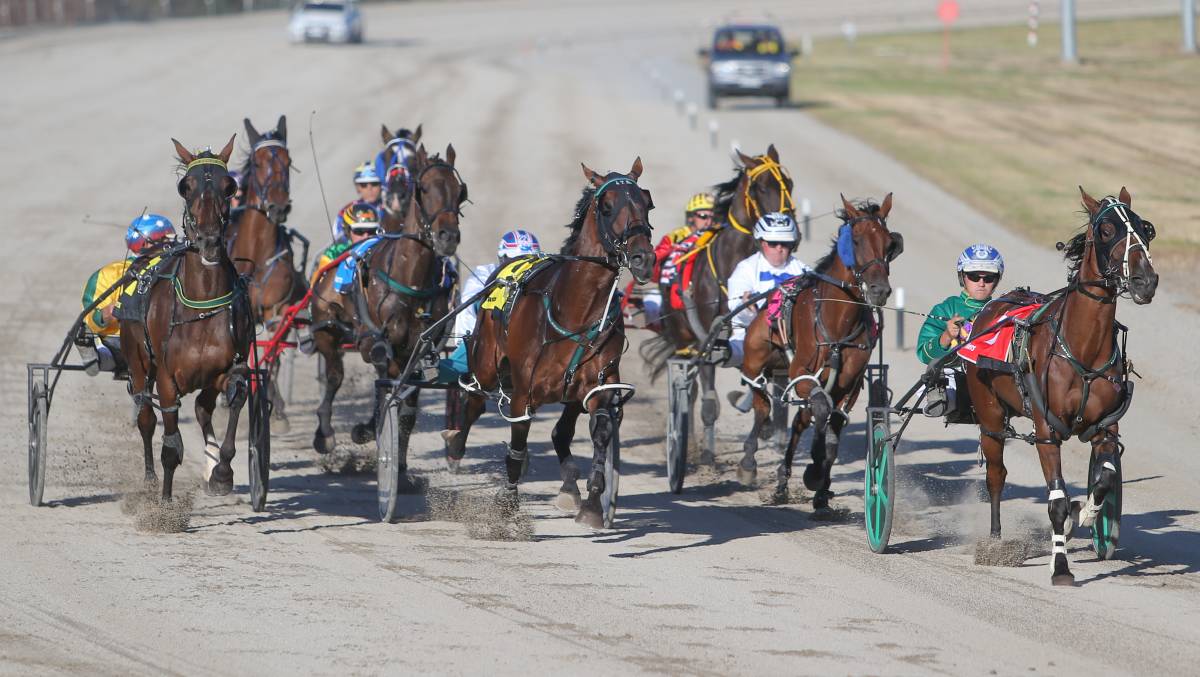 Gallery | Terang Harness Racing Club