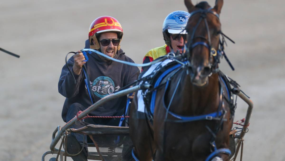 Gallery | Terang Harness Racing Club