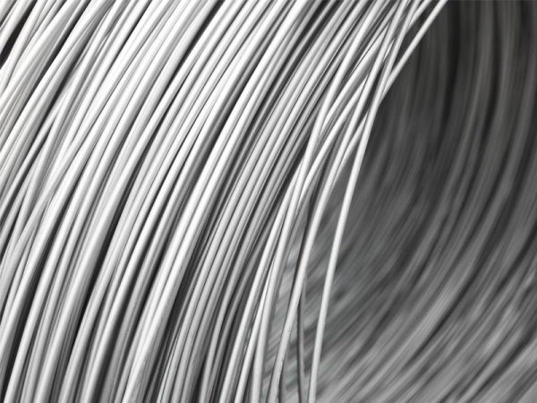 Anti bird products #! # Bologna #! # Filomat Srl