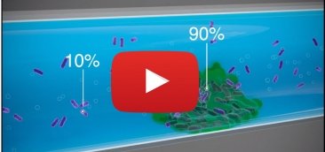 BIOFILM SENSORS DETECT AND MONITOR EARLY BACTERIA INFECTION