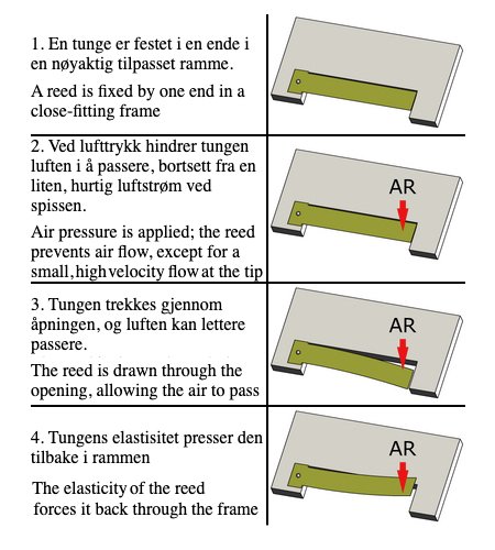 Information about free-reed musical instruments.