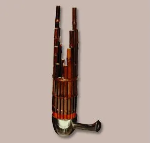 Information about free-reed musical instruments.
