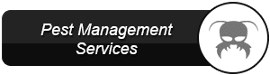 Pest Control | Alfred, ME | Liberty Pest Control