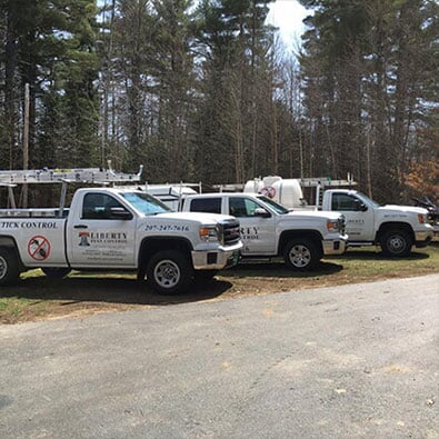 Pest Risks | Alfred, ME | Liberty Pest Control