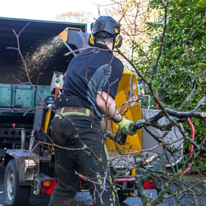 Professional tree surgeons at Northern Tree Services