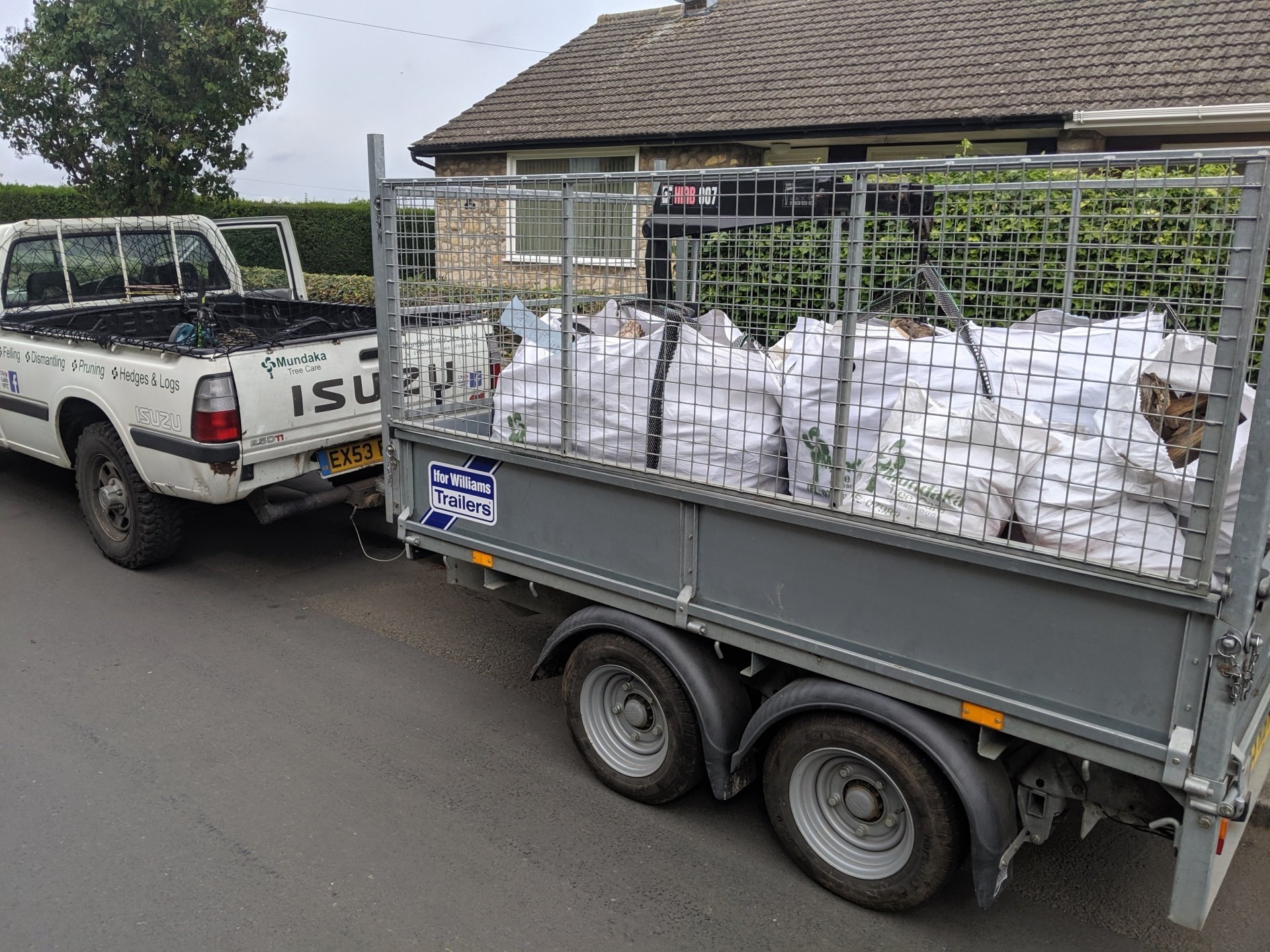 Mundaka tree care. Arborists based in Scarborough