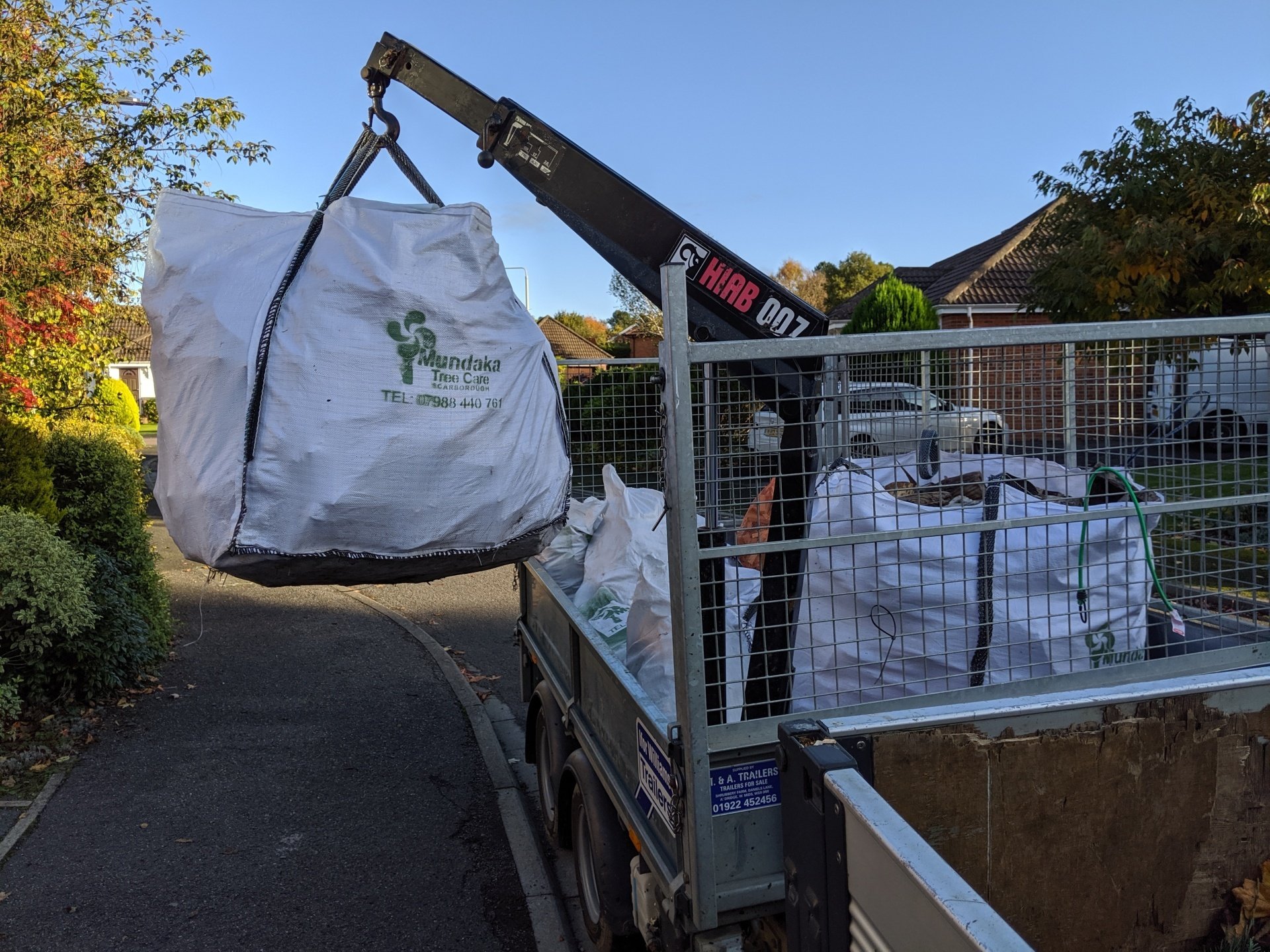 Mundaka tree care. Arborists based in Scarborough