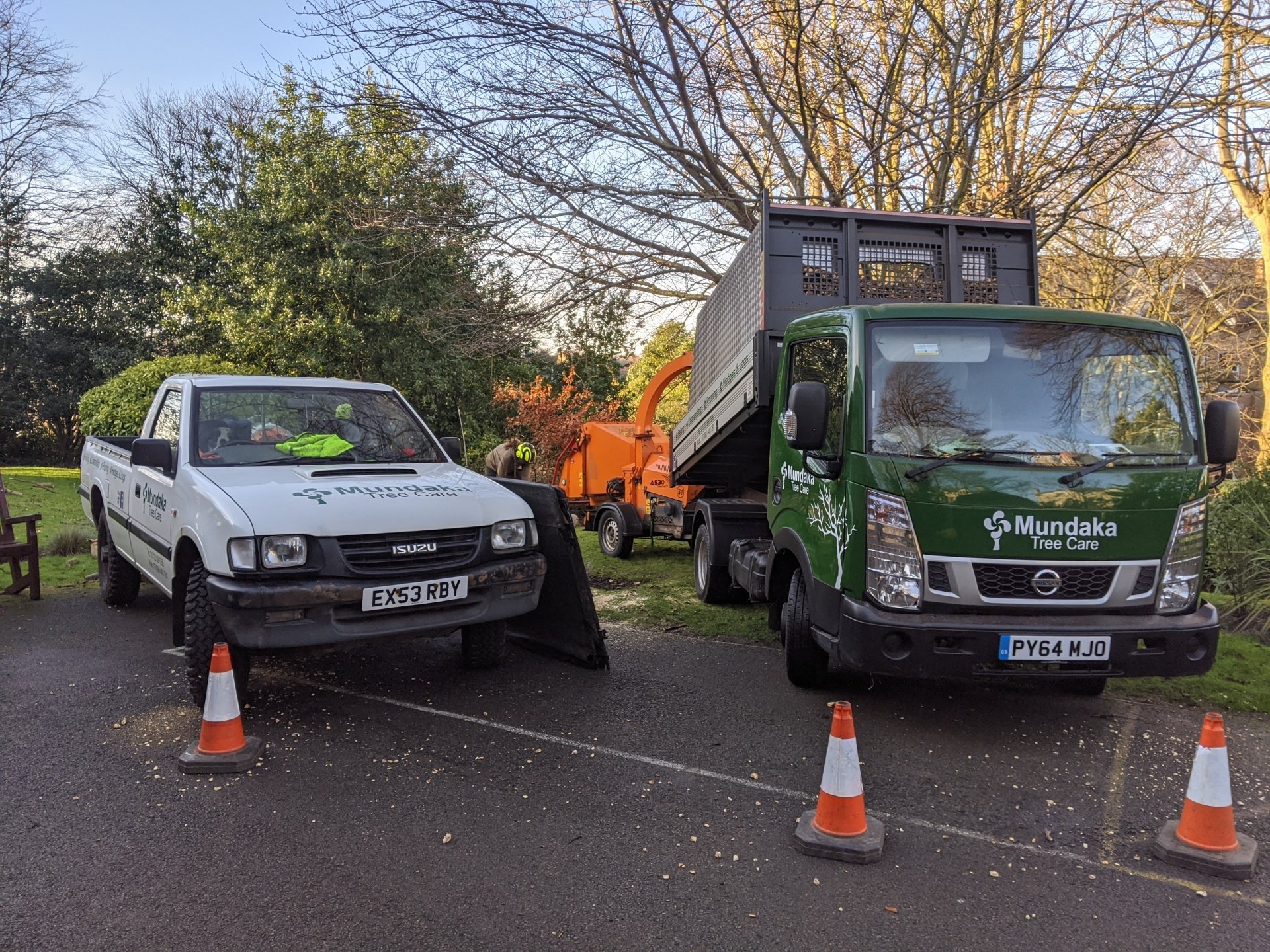 Mundaka tree care. Arborists based in Scarborough