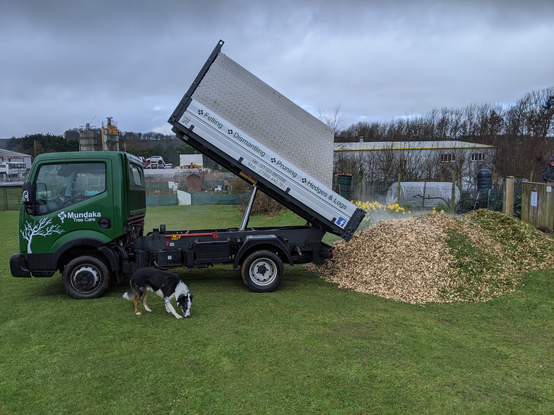 Mundaka tree care. Arborists based in Scarborough