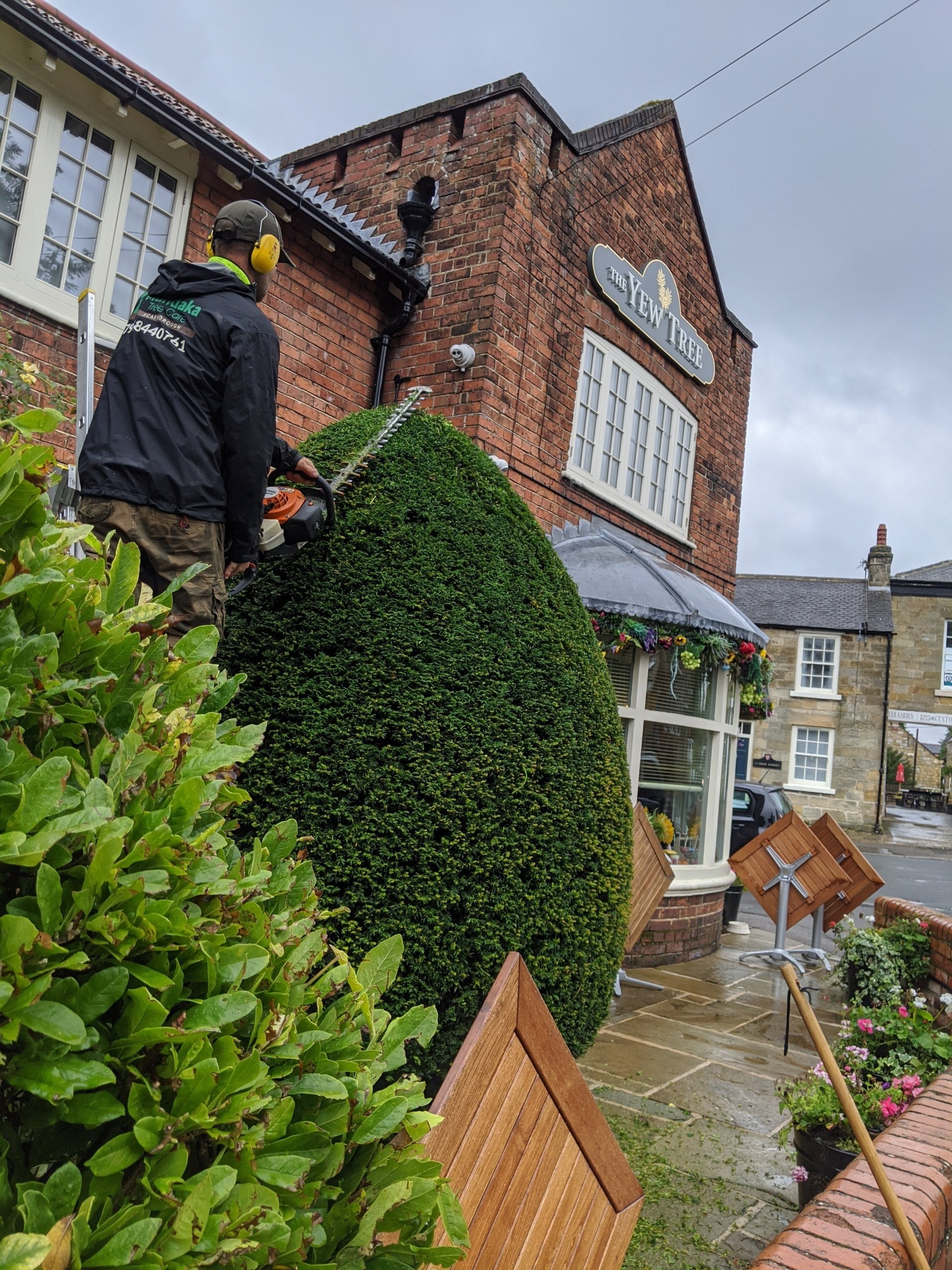 Mundaka tree care. Arborists based in Scarborough