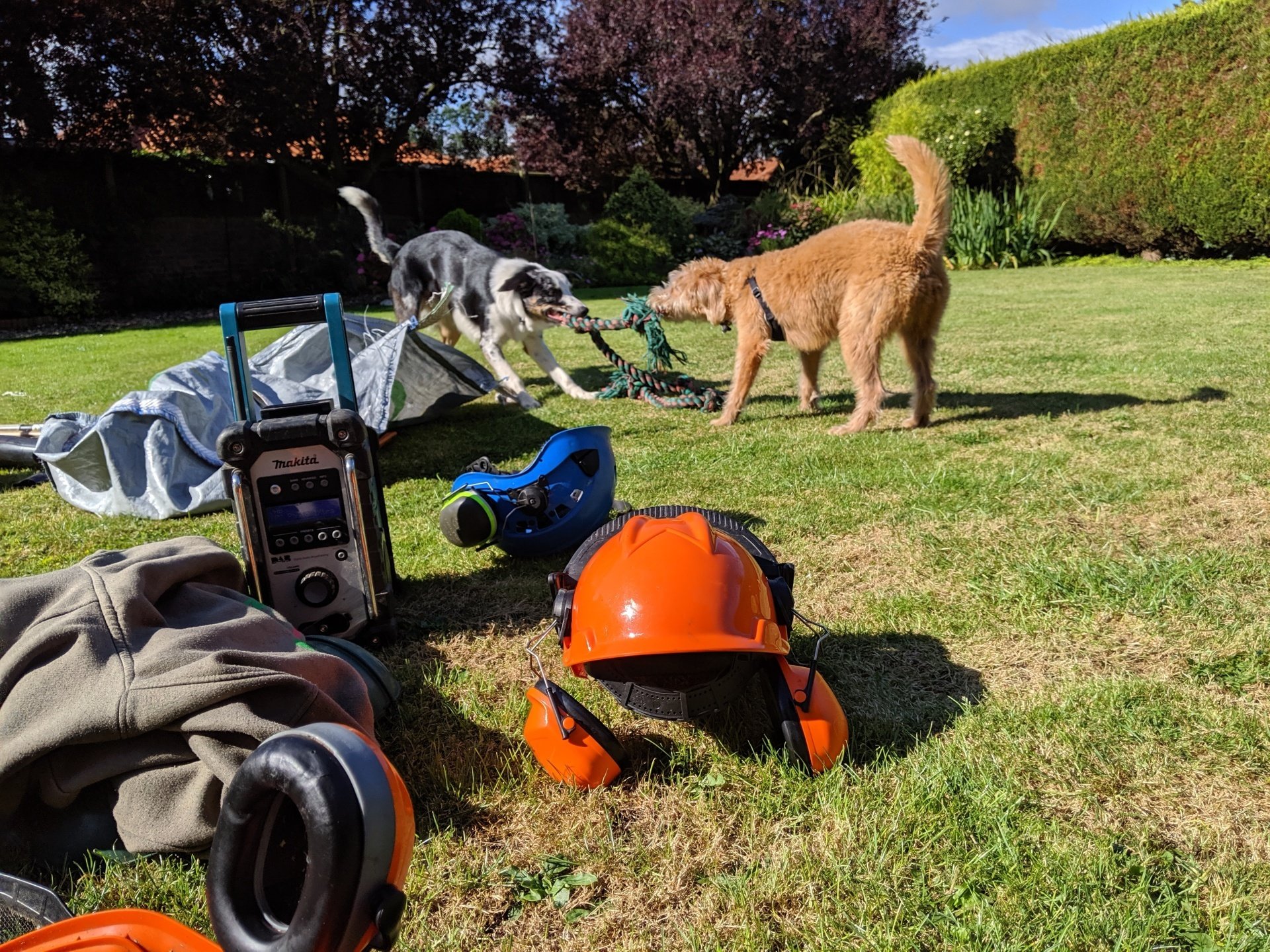 Mundaka tree care. Arborists based in Scarborough