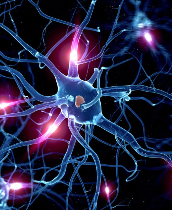 Nerve | Colorado Springs Orthopaedic Group