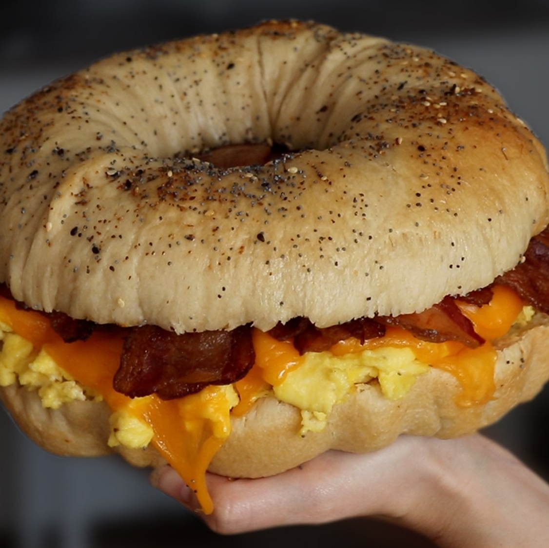Hellthy Junk Food hellthy-junk-food