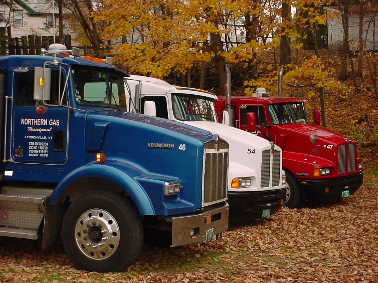 Northern Gas Transport | History