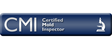 Mold Inspection and Testing Houston TX | Trusted Mold Testing Houston