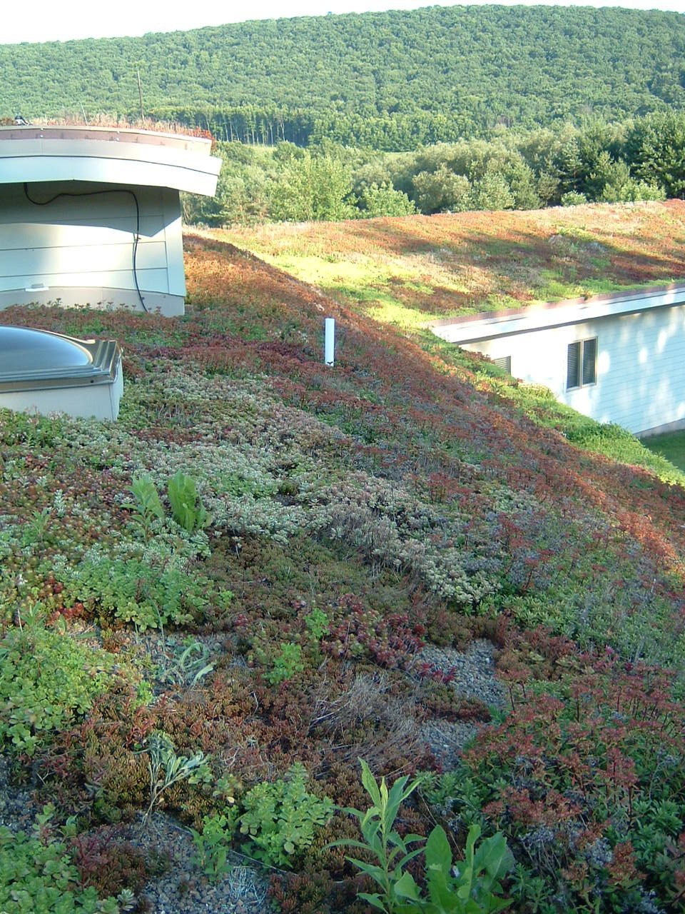 Ecosmith Architecture and Consulting
