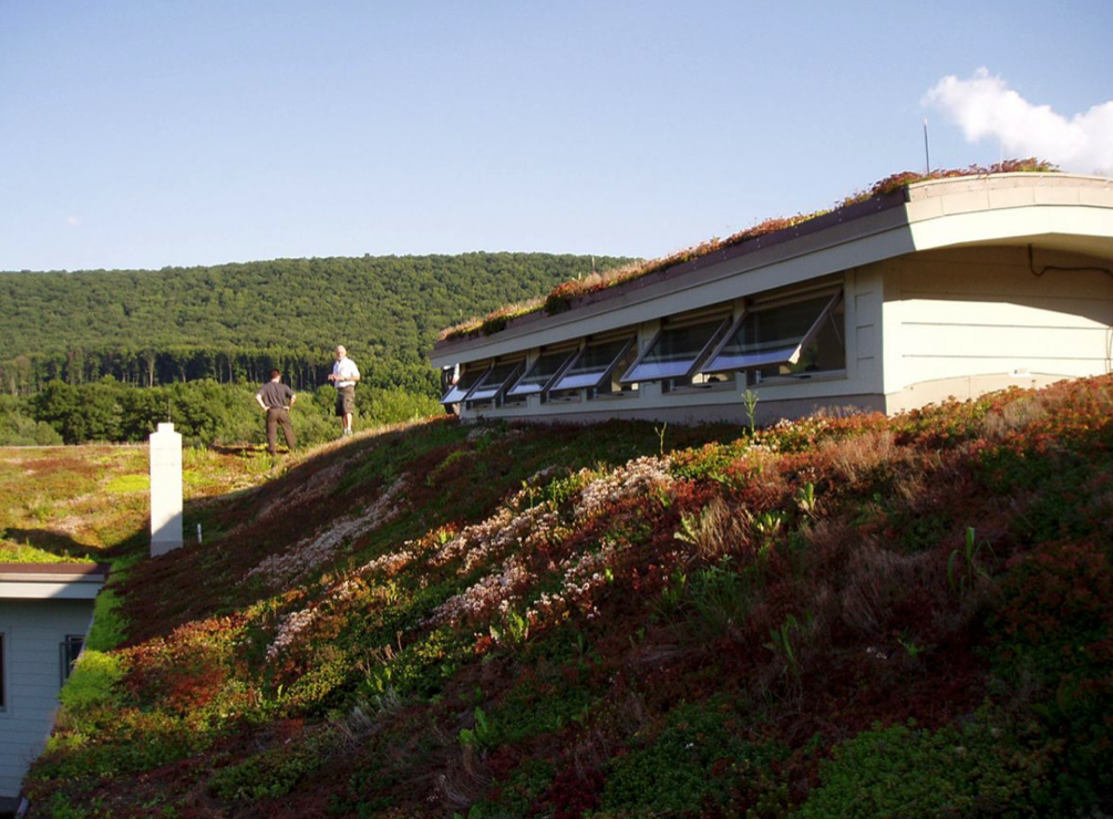 Ecosmith Architecture and Consulting