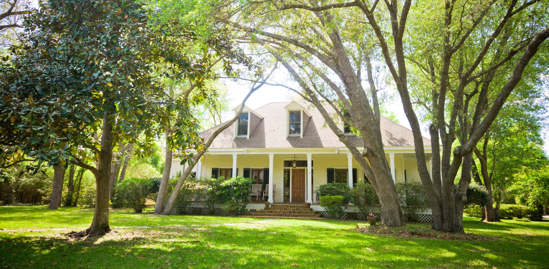 How Trees Can Move Your Foundation & What to Do About It