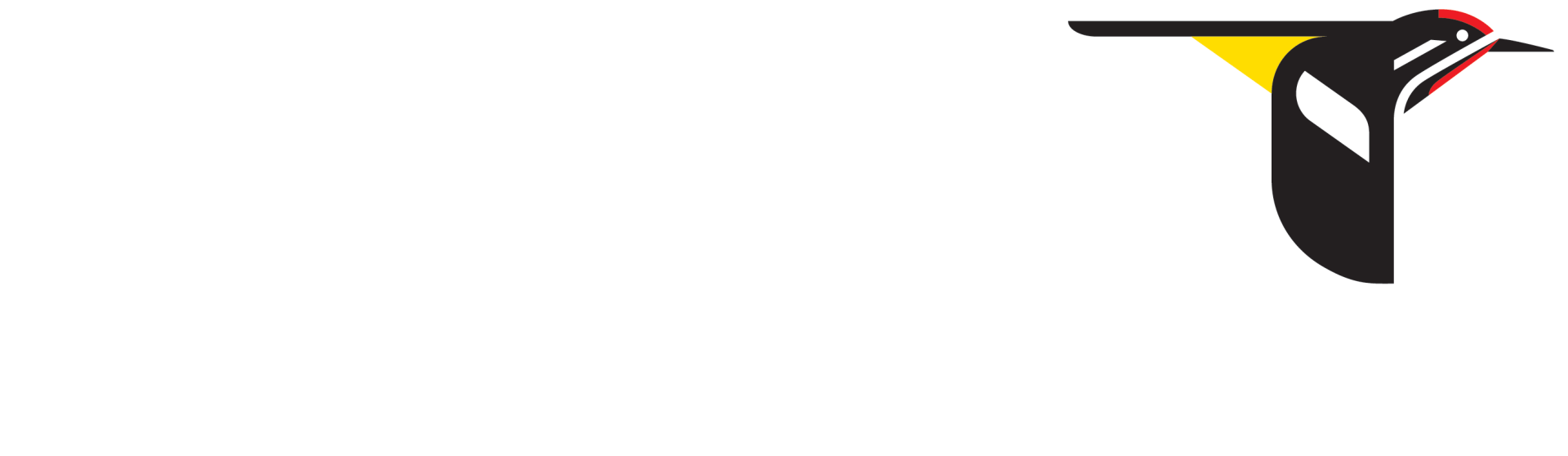 Matthew Aeberhard | Emmy Nominated Wildlife Filmmaker