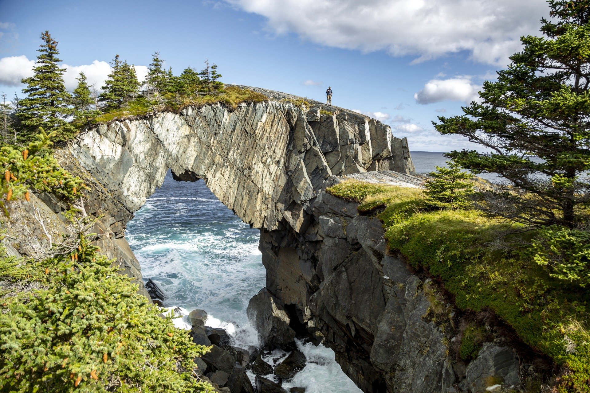 Tourisme Terre-Neuve-et-Labrador - ExploreTNL