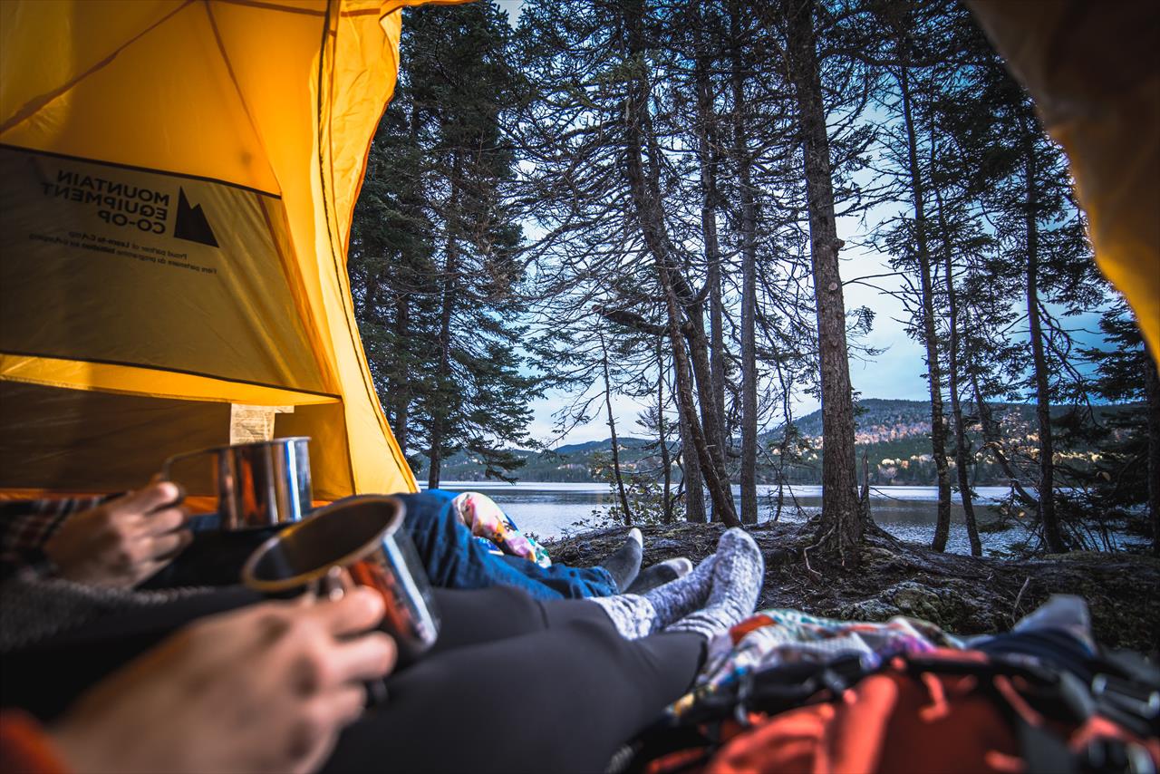 5 raisons de visiter le parc national Terra-Nova