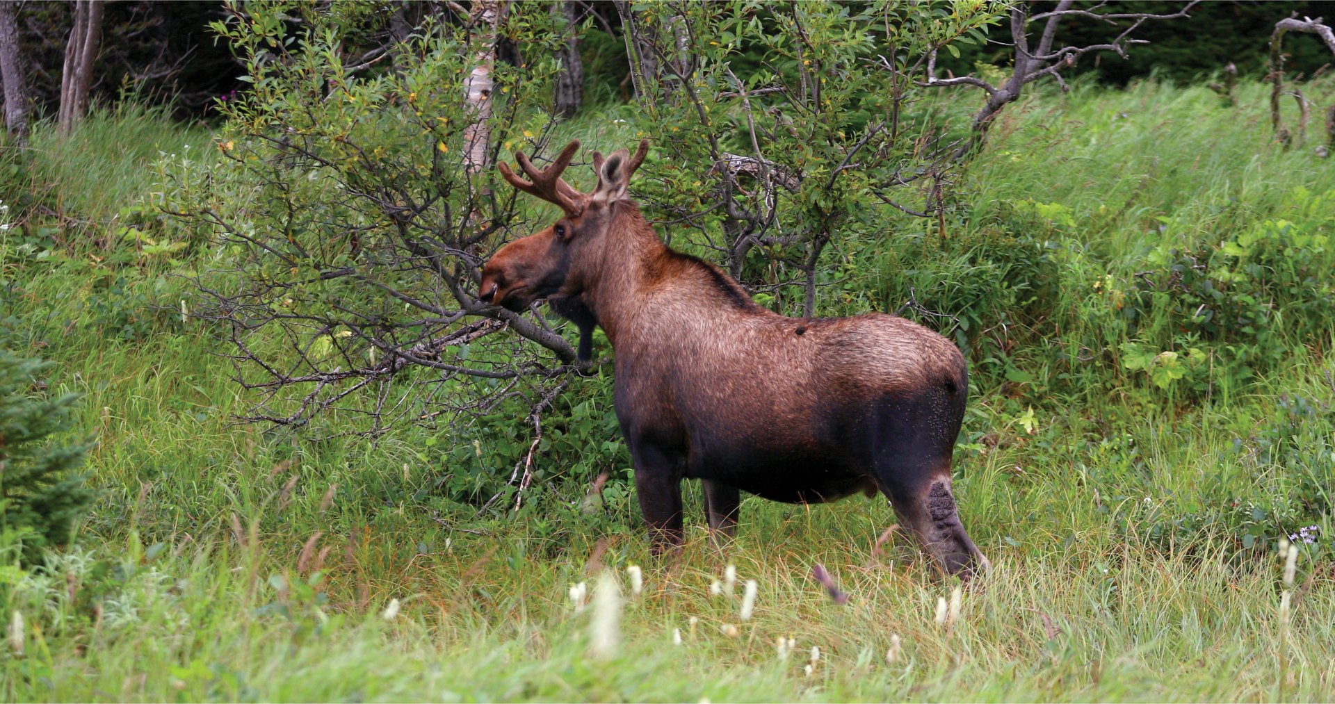 Explorez la région Labrador de Terre-Neuve-et-Labrador