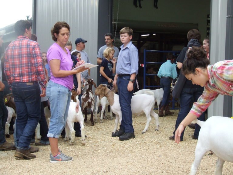 Manheim Community Farm Show