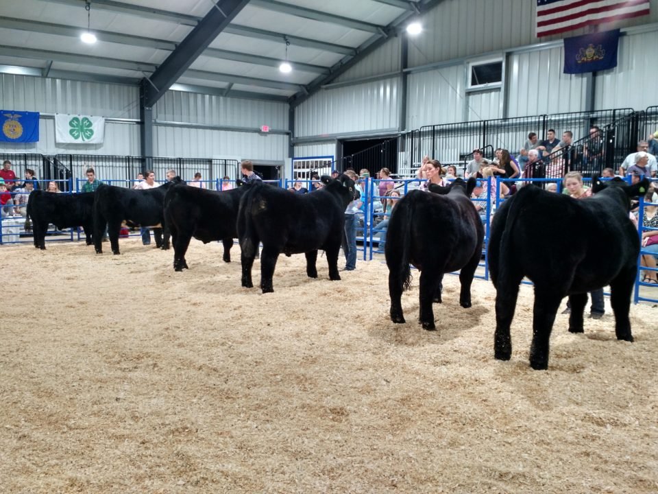 Manheim Community Farm Show