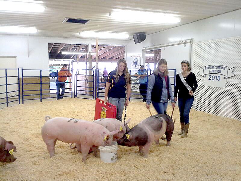 Manheim Community Farm Show