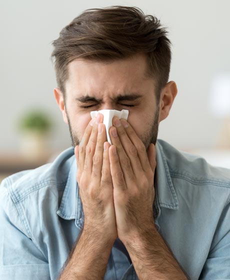 Immune Support - Dr. Louis Granirer Holistic Chiropractor