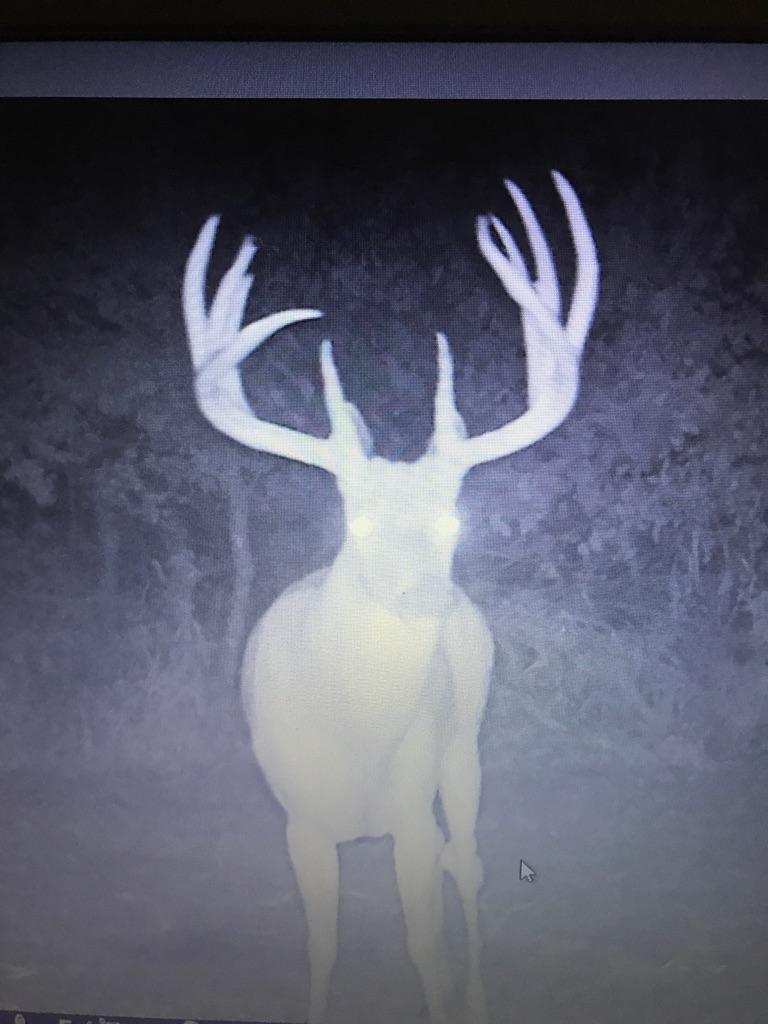 Iowa Deer hunting Zone 4, Iowa Deer Hunting Zone 5