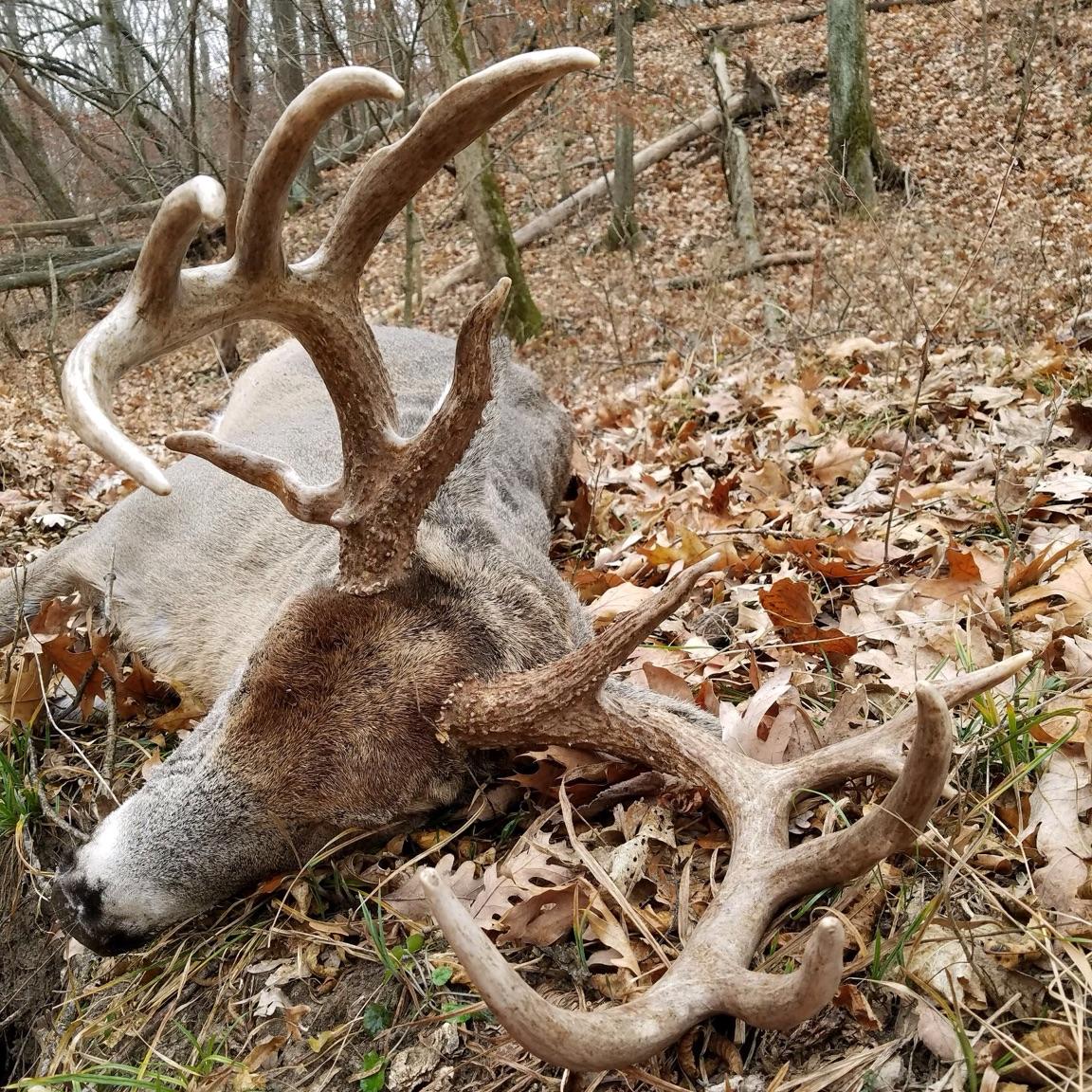 Iowa Deer hunting Zone 4, Iowa Deer Hunting Zone 5