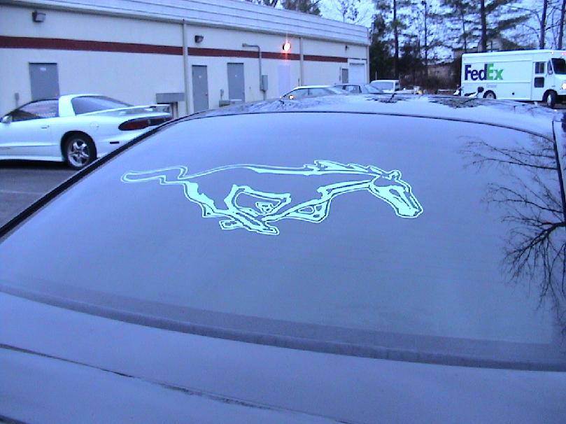 Custom Window Graphics in Memphis | Vehicle & Business Branding