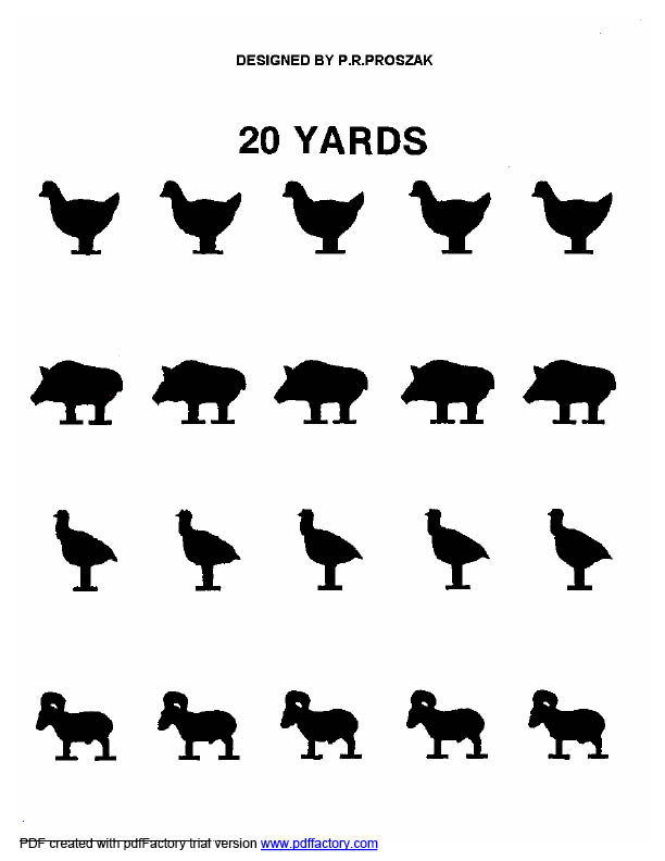 Targets | Chick-Owa Sportsman’s Club