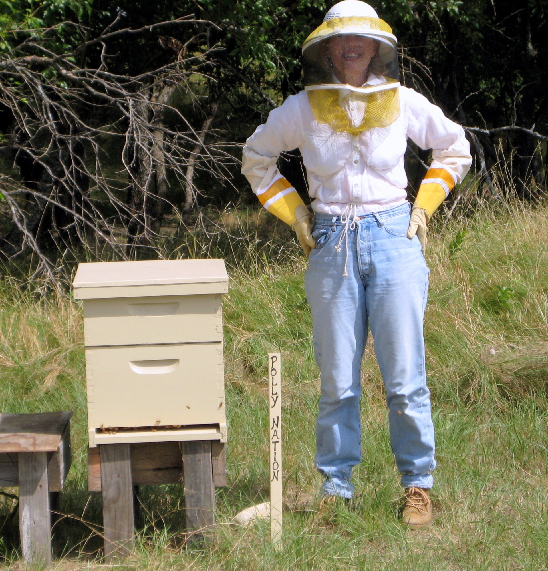 Buds and the Bees! Learn about ecologically-responsible honeybee habitats