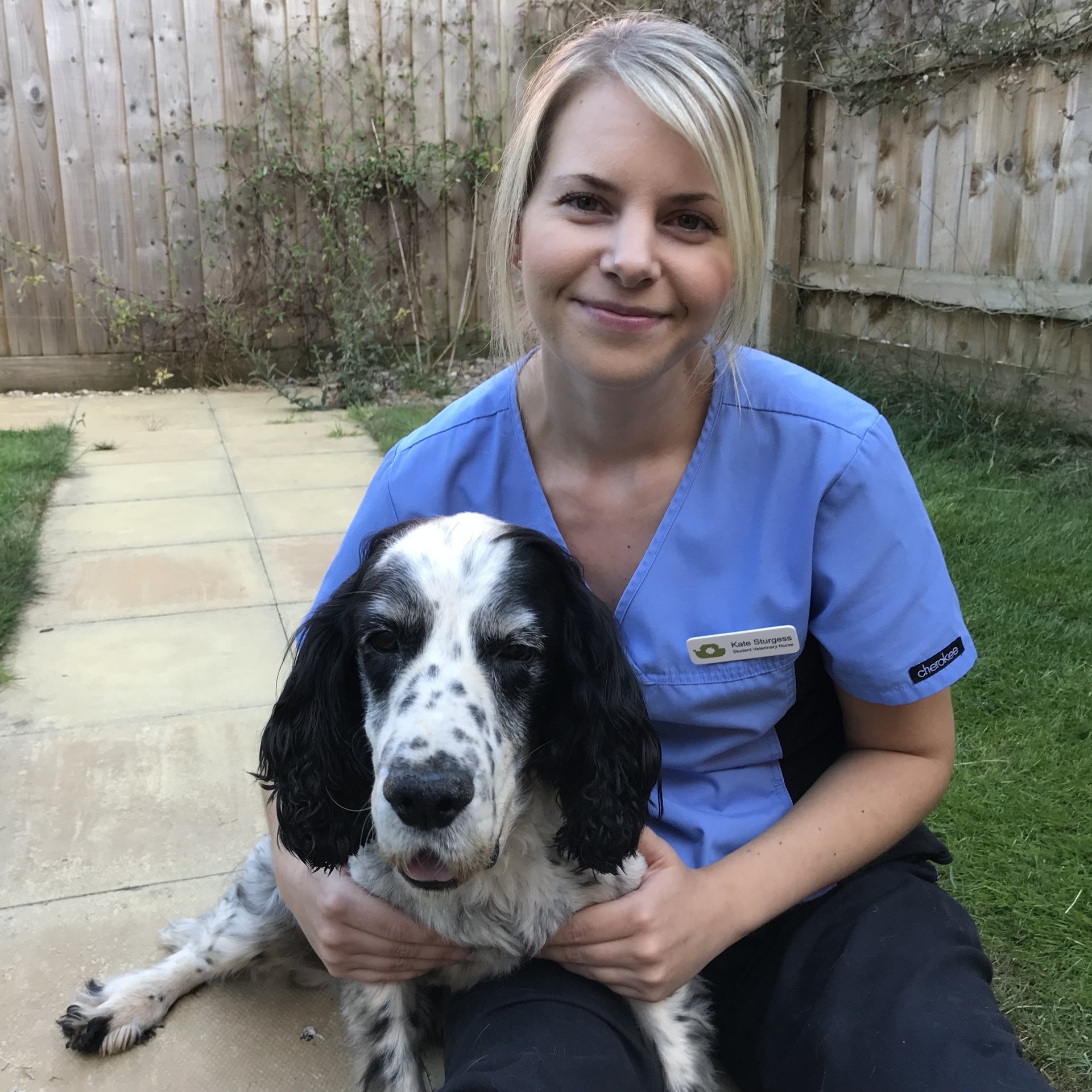 Trusted vet practice | Ark Vets Pinhoe