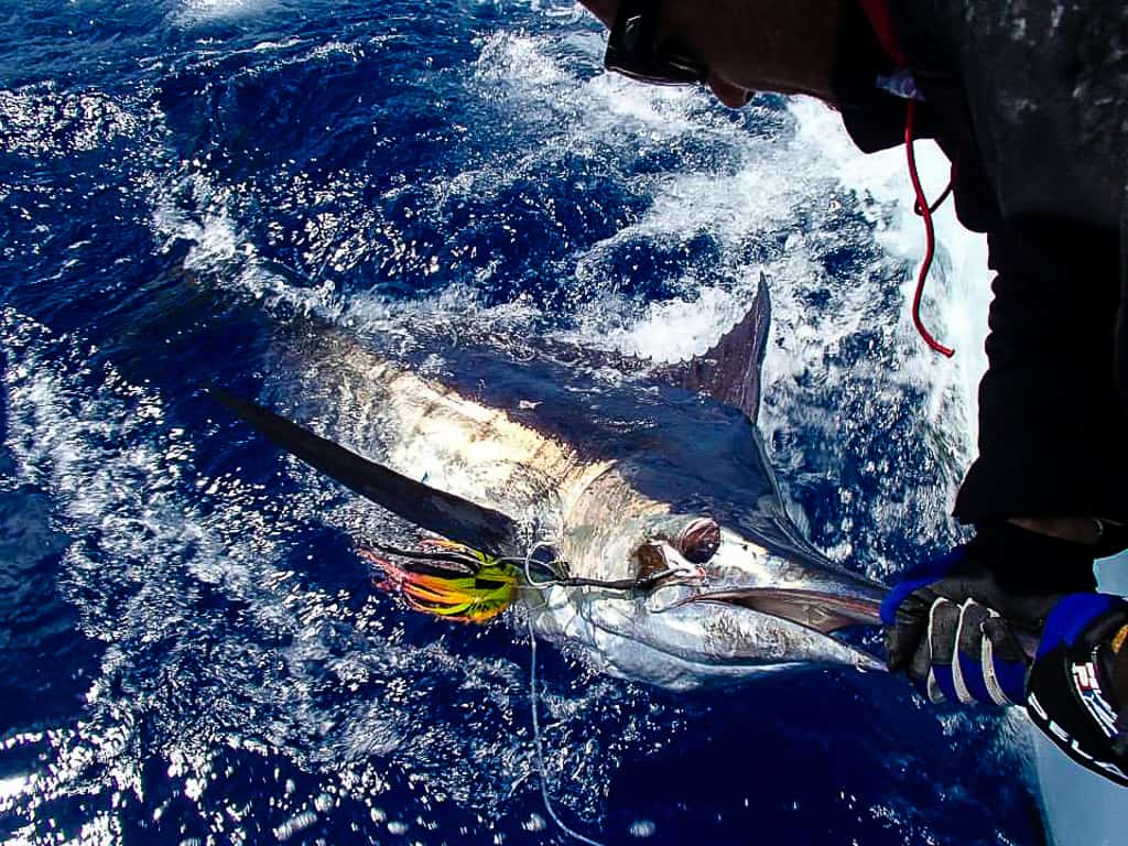 Fishing Charters | Boat Charters | Dexter