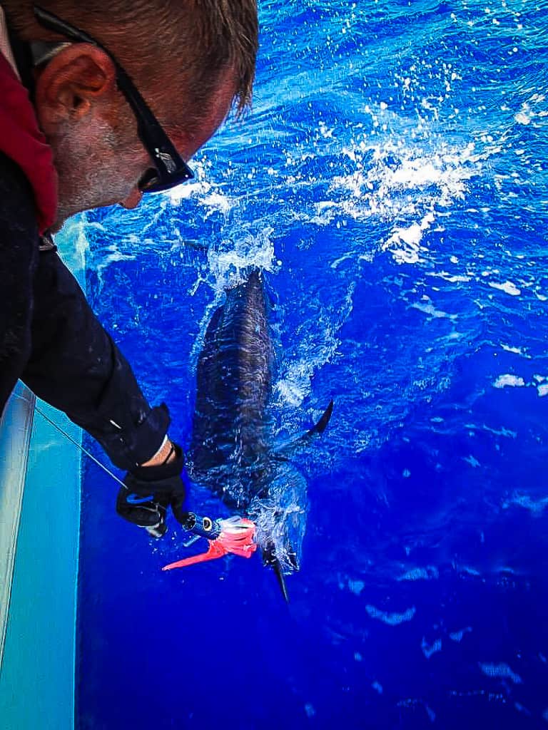 Fishing Charters | Boat Charters | Dexter