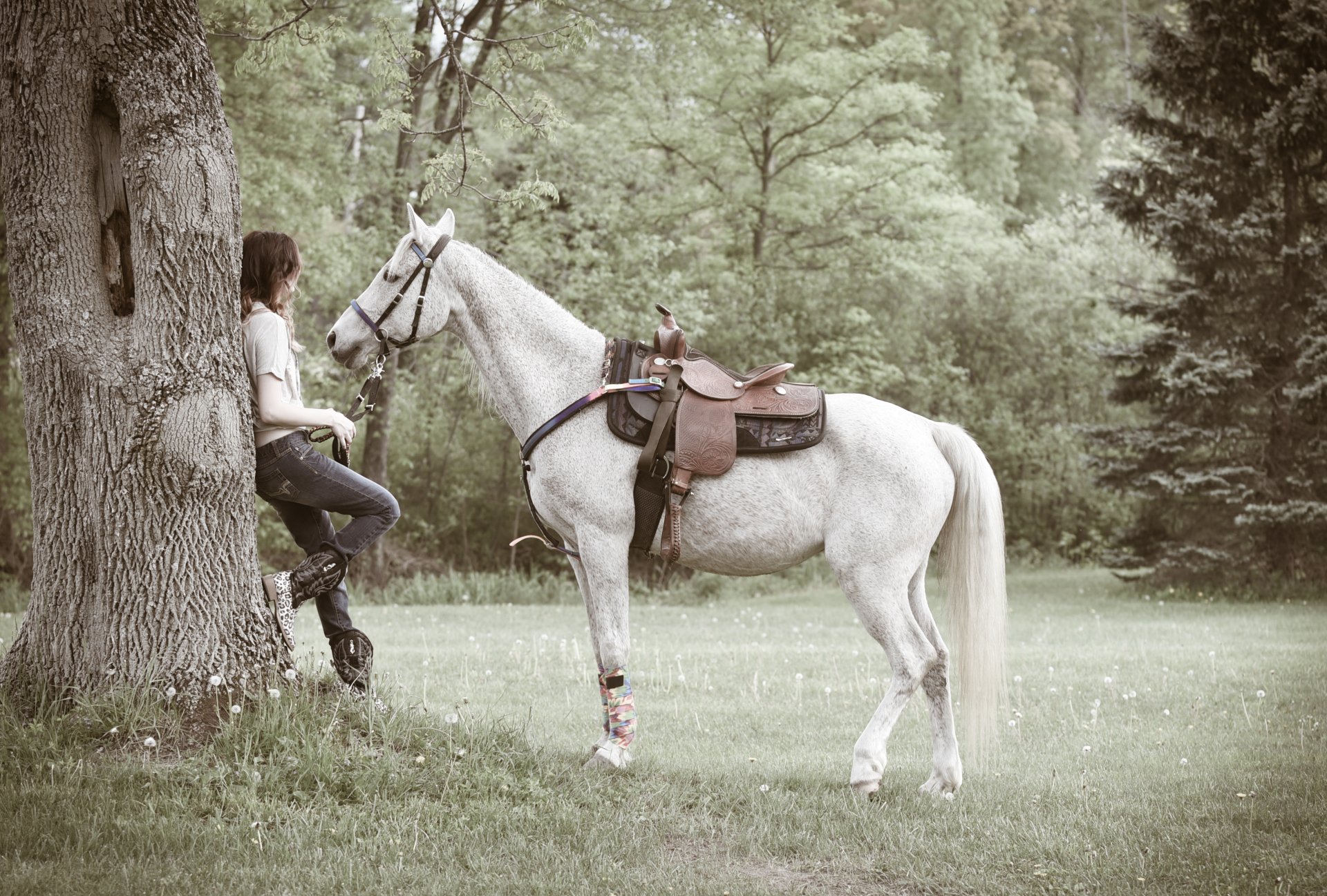 MJO Photography // HOME