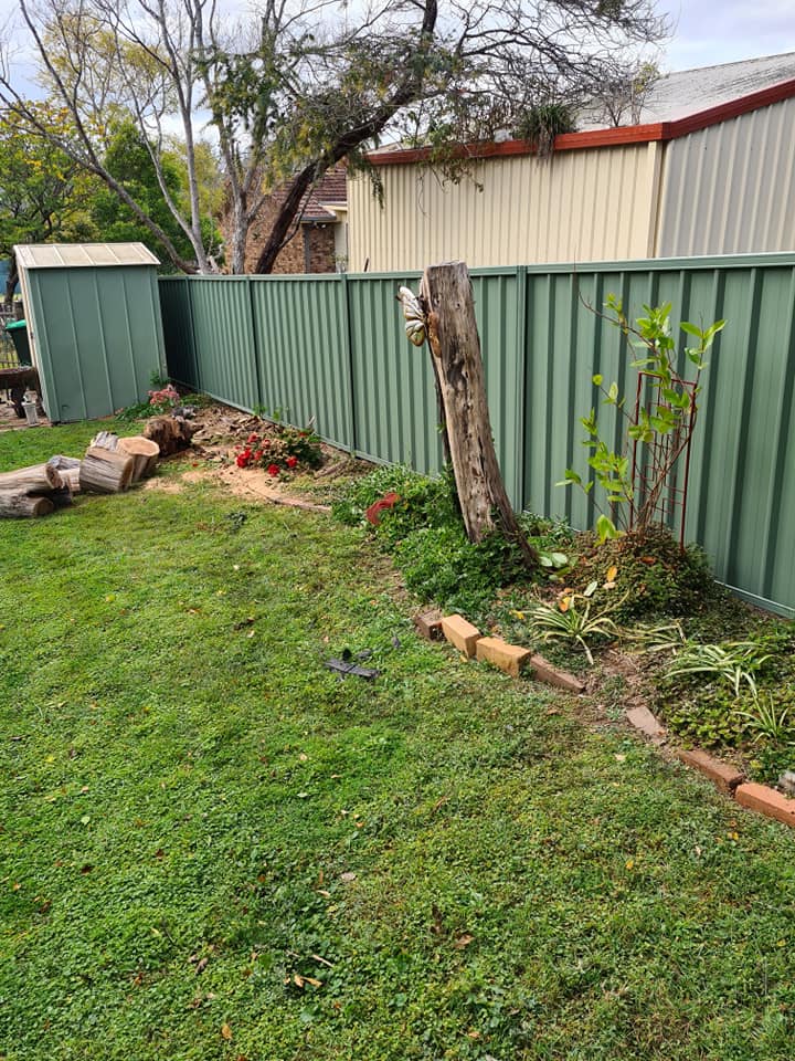 Colorbond Fencing in Taree | D & B Fencing