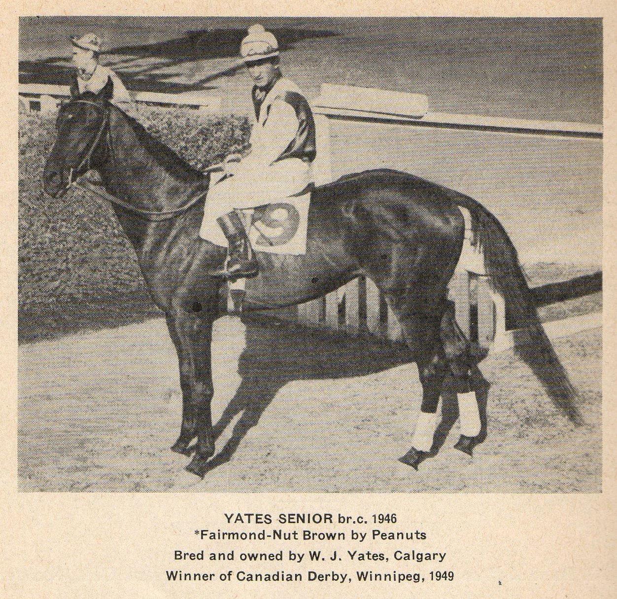 Canadian Thoroughbred Horse Society