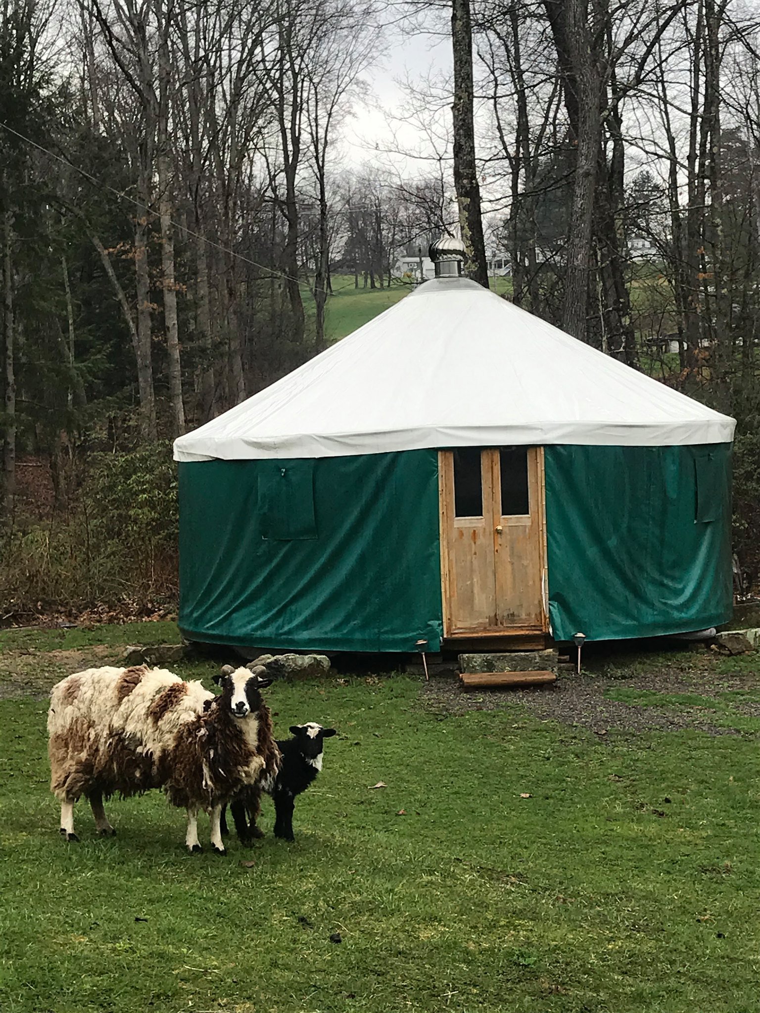 Yorkie Acres Yurt - Sleep on the Farm!