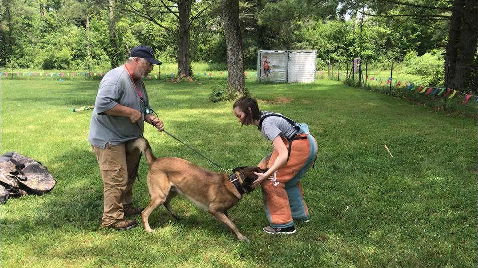 Dog Training & Behavior Modification | Canine Connection | Memphis, TN