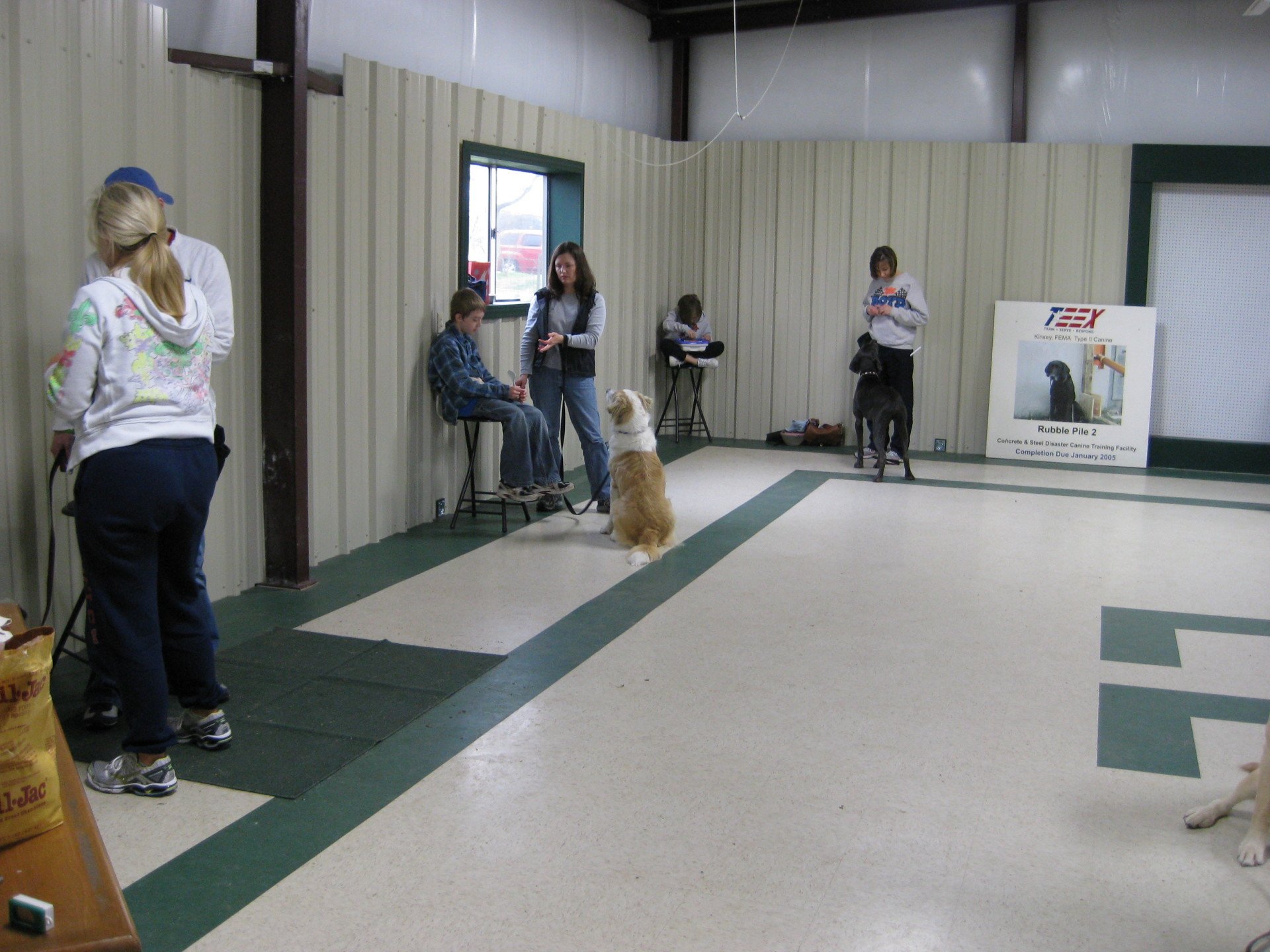 Dog Training Services | Canine Connection | Memphis