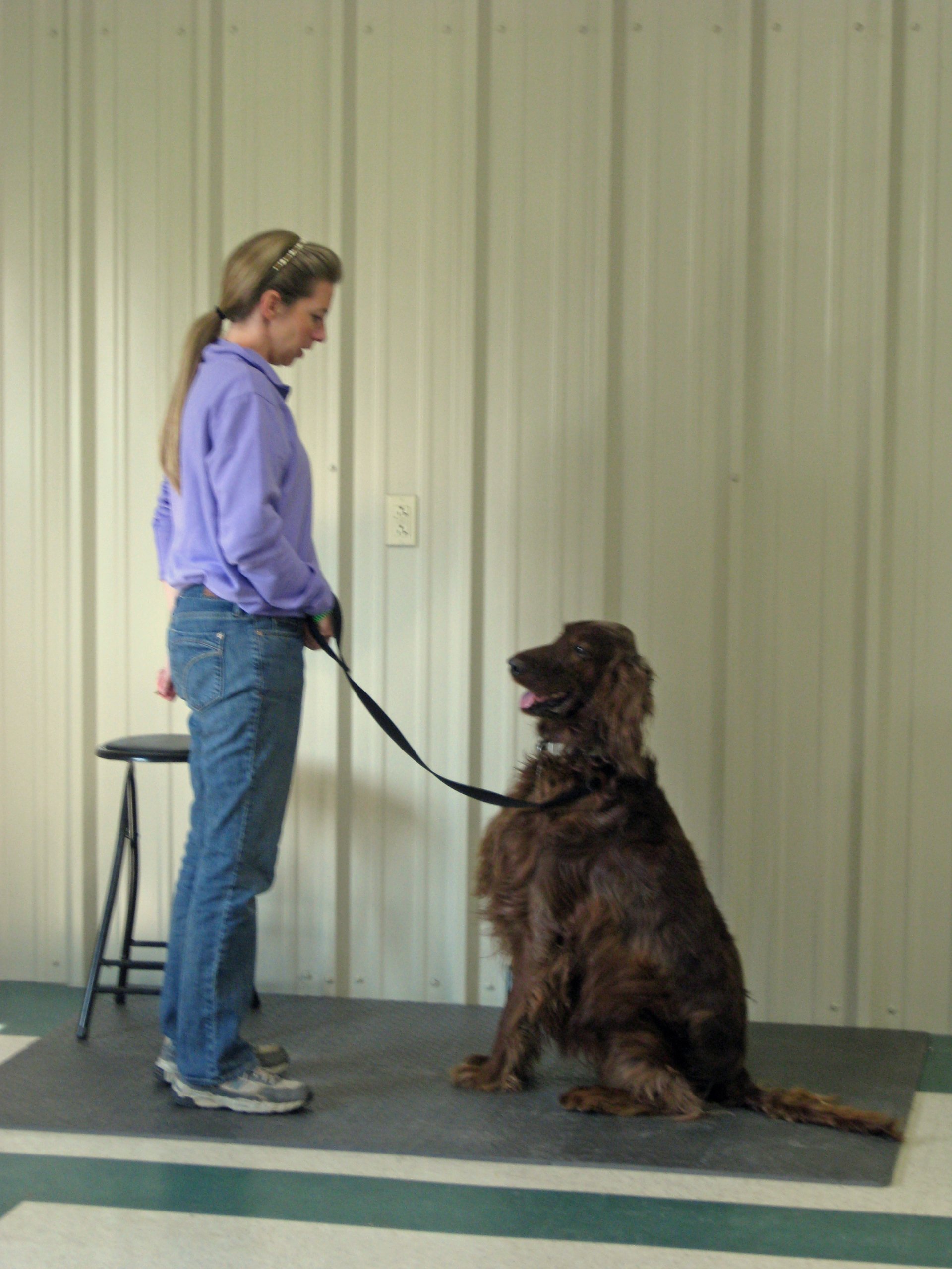 Canine Connection, For the Real World