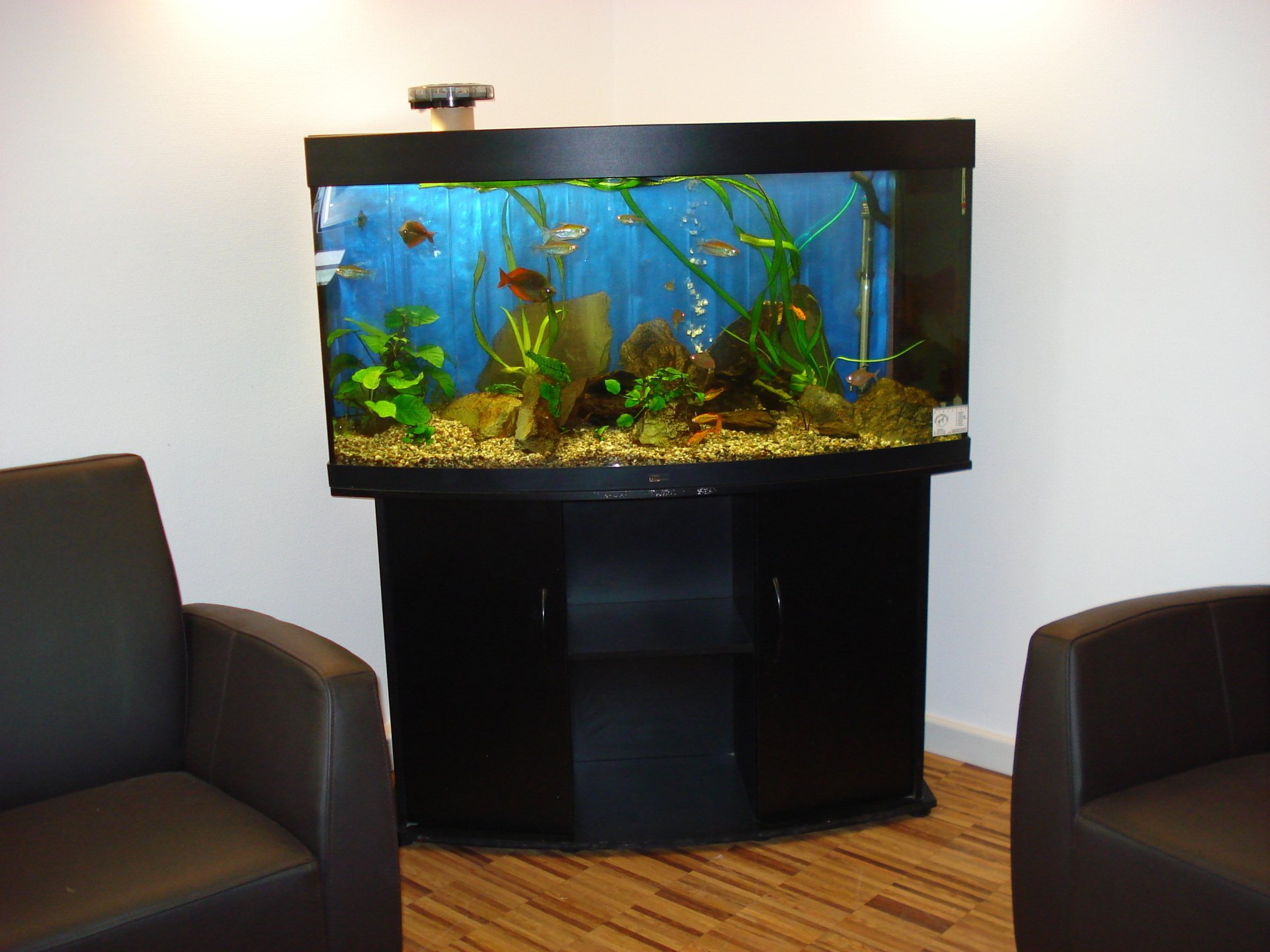 Aquarium Pflege Service Kosten