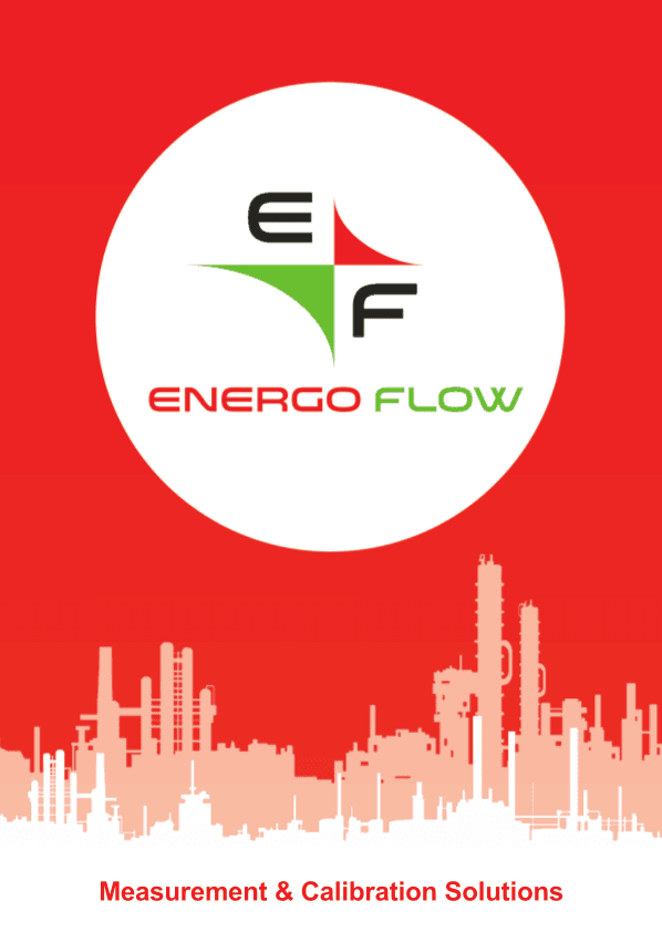 Flow Meters and Ultrasonic Gas Meters in Europe | Energoflow AG